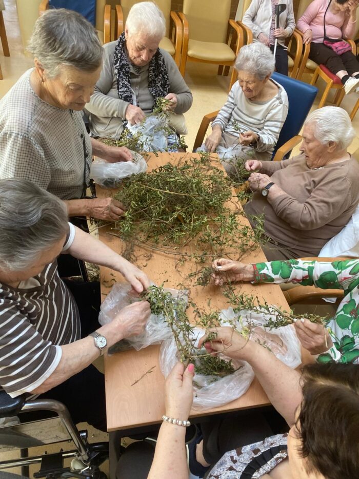 SCMA | Horto Terapia: Chá de Limonete na Estância Nossa Senhora da Piedade